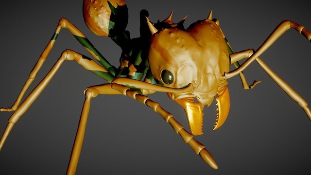 Jevgeny Sailor - Acromyrmex Octospinosus - Leafcutter Ant