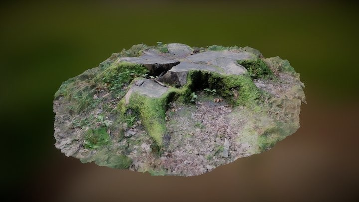 ArtStation - Big stump