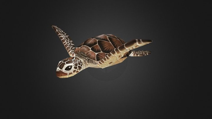 ArtStation - Green Sea Turtle