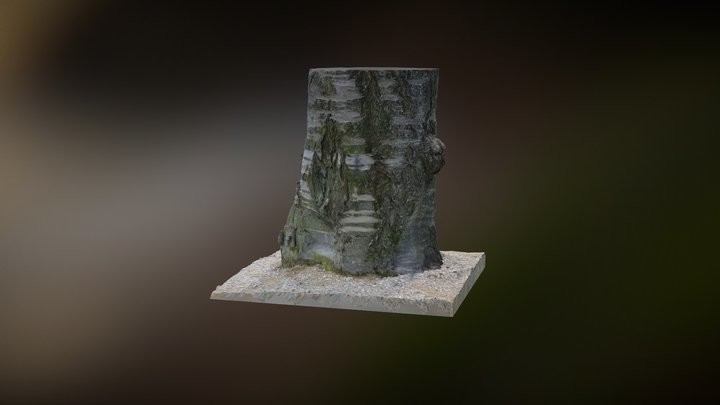 ArtStation - Tree Stump