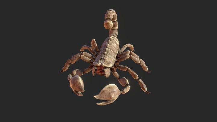 ArtStation - Mutated Scorpion