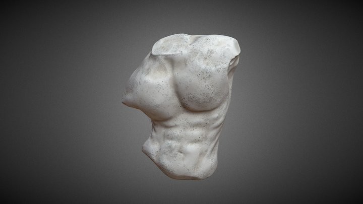 ArtStation - Study on the Gaddi torso