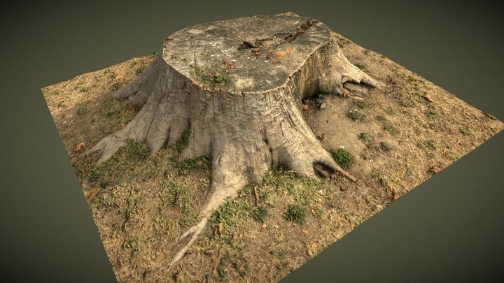 ArtStation - Stump 1