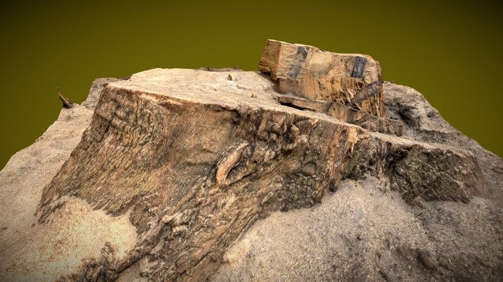 ArtStation - Stump 3 High