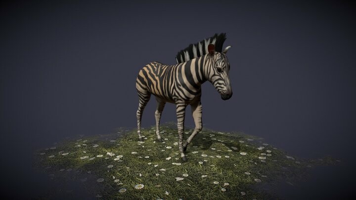 ArtStation - Zebra Game Ready
