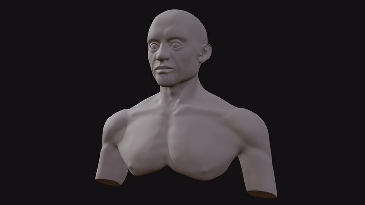 ArtStation - Human Male Bust