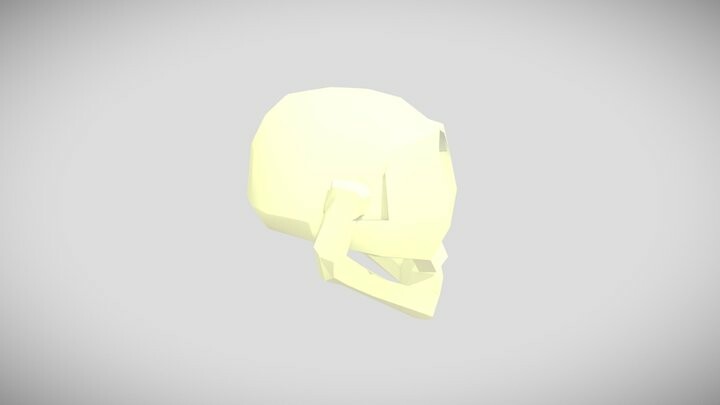 ArtStation - Skeleton's Skull