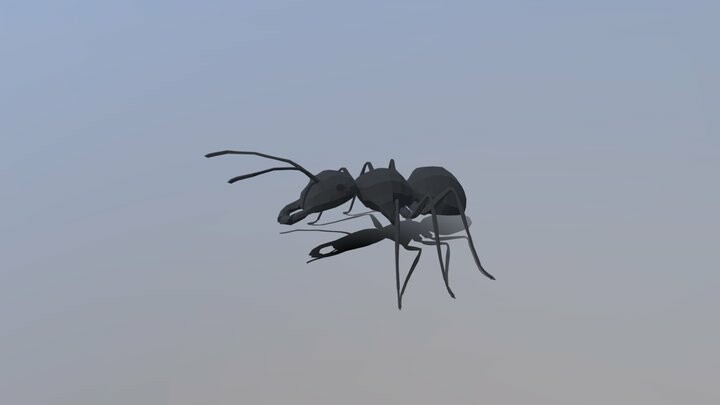 ArtStation - Low Poly Cartoon Ant