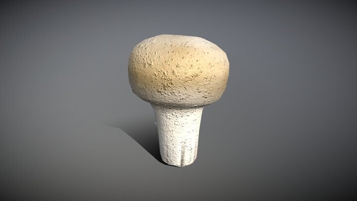 Thunder 3D Dojo - Mushroom
