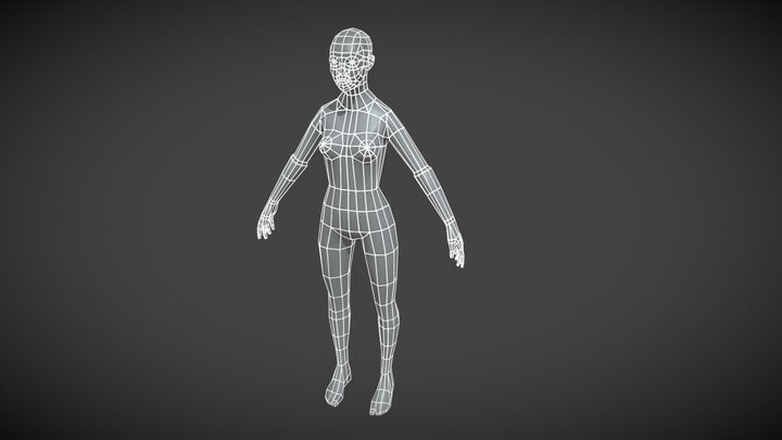 ArtStation - Female Body Base Mesh 3D Model 1000 Polygons