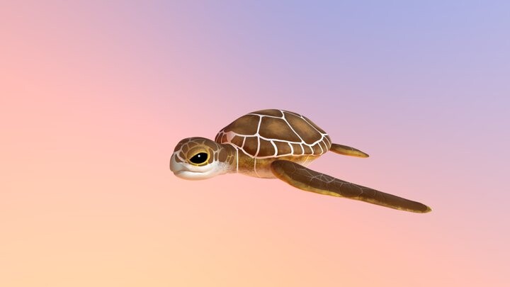 ArtStation - Stylized turtle