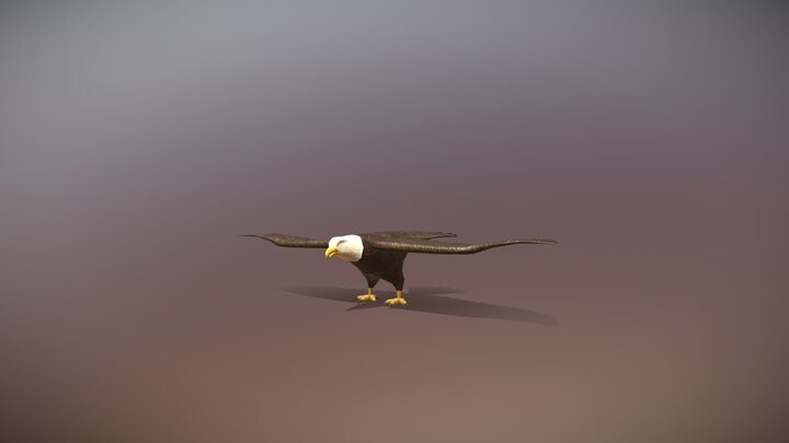 ArtStation - Eagle Model