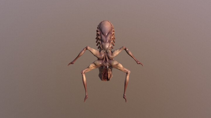 ArtStation - Alien Parasite Head (low poly game engine model)