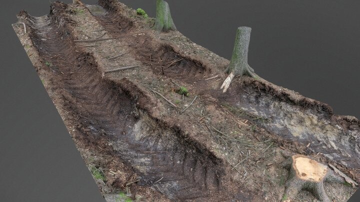 ArtStation - Forest mud tracks
