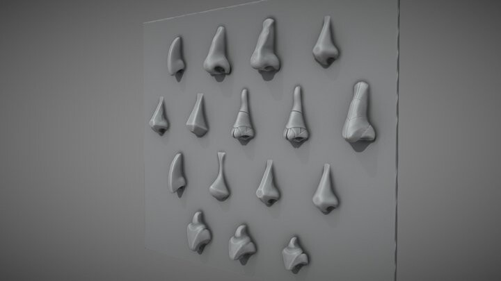 ArtStation - Noses Training