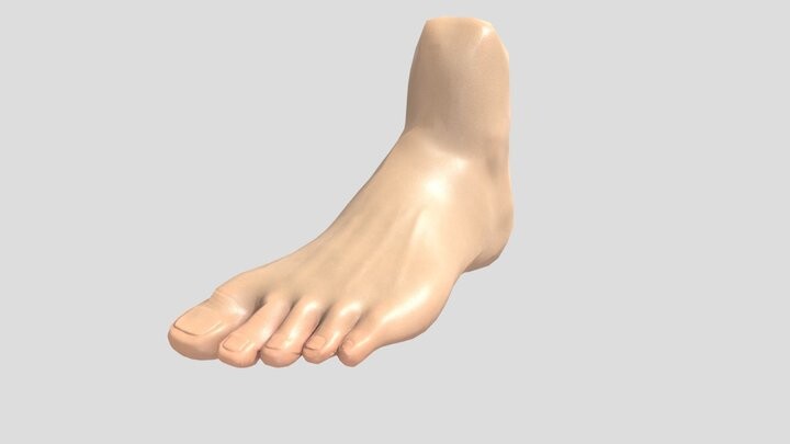 ArtStation - Foot Sculpt