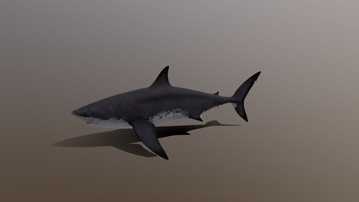 ArtStation - Megalodon