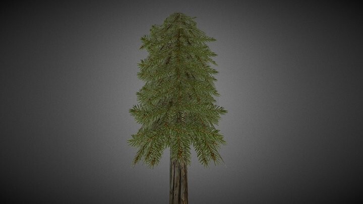 ArtStation - Coniferous tree