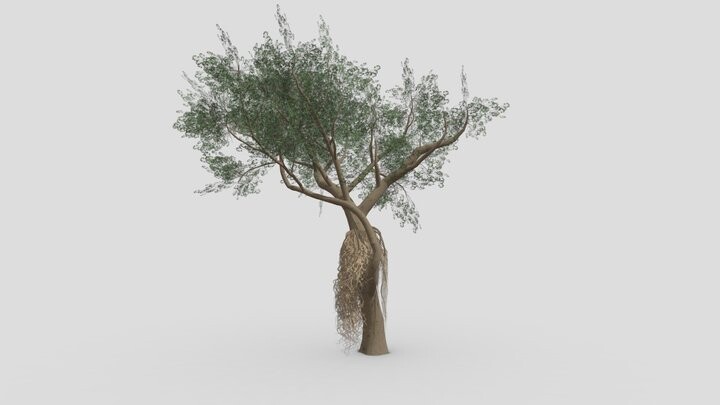 ArtStation - Ficus Benjamina Tree-S16