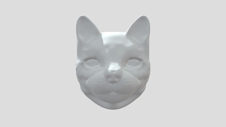 ArtStation - First 3D Model: Cat Head