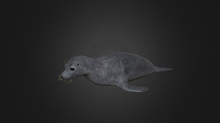 ArtStation - Seal