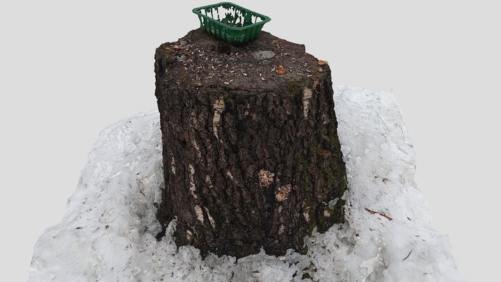 ArtStation - Winter stump