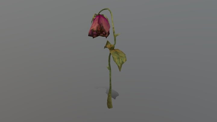 ArtStation - Dead flower