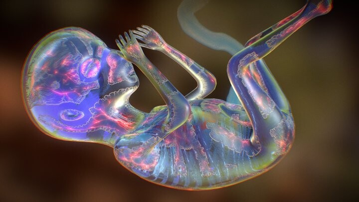 ArtStation - Android embryo