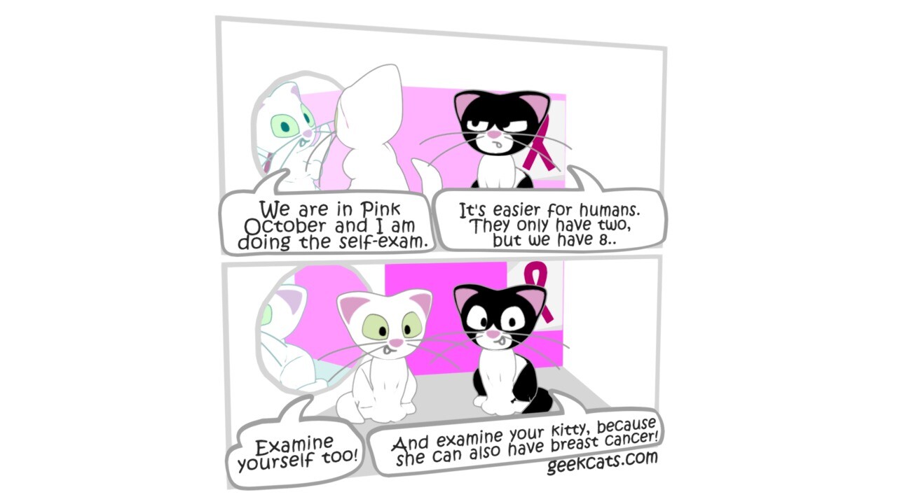 ArtStation - Geekcats – Interactive 3D Webcomic (Sketchfab)