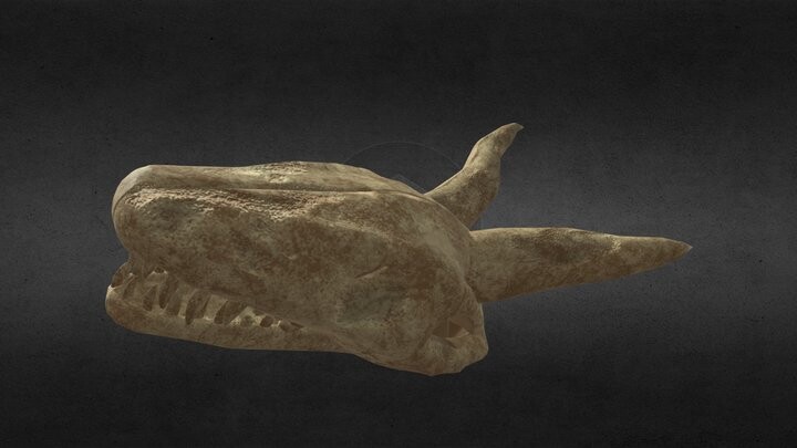 ArtStation - Dragon Skeleton