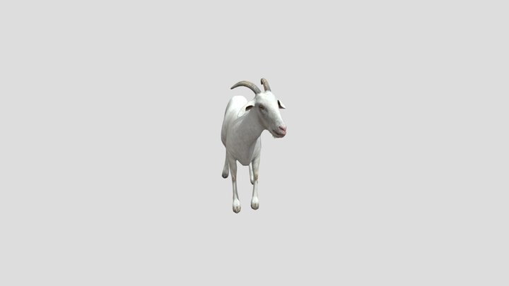 ArtStation - Goat