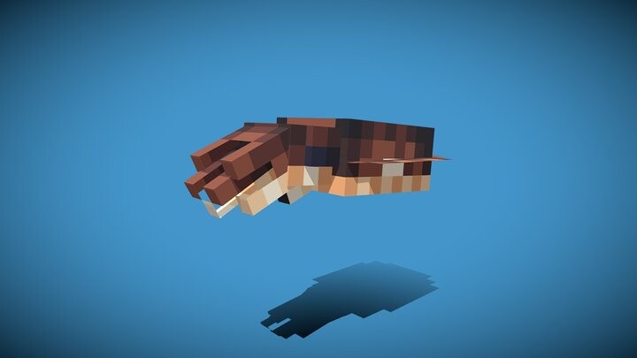 ArtStation - Cuttlefish