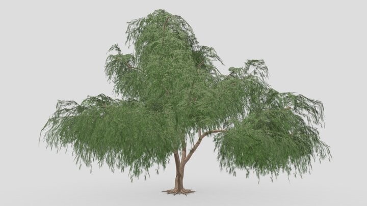 ArtStation - Prosopis Tree- 02