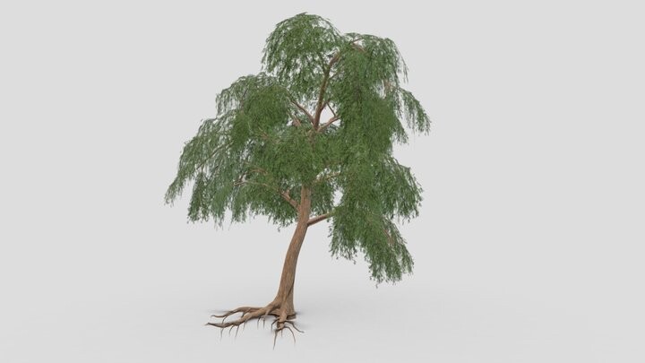 ArtStation - Prosopis Tree- 08