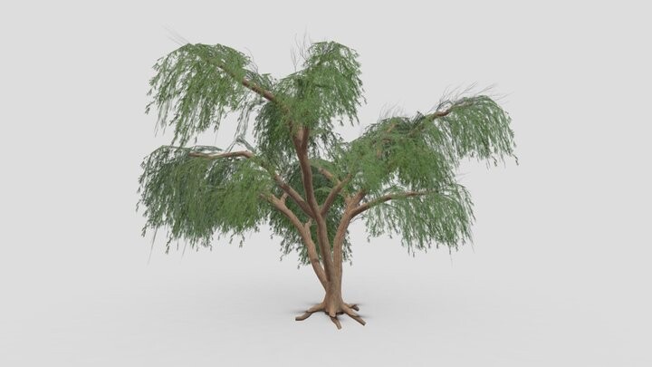 ArtStation - Prosopis Tree- 12