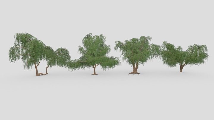 ArtStation - Prosopis Tree- Pack- 01