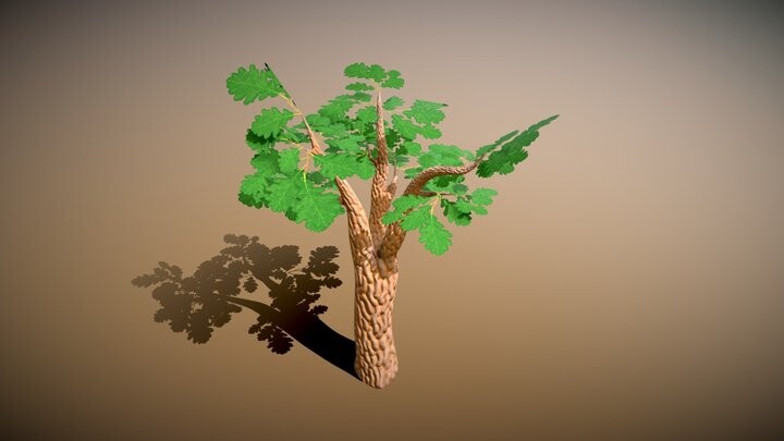 ArtStation - Tri Branch Oak Tree