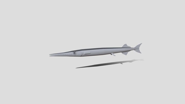 ArtStation - Low Poly Cartoon Garfish