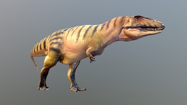 ArtStation - Carcharodontosaurus