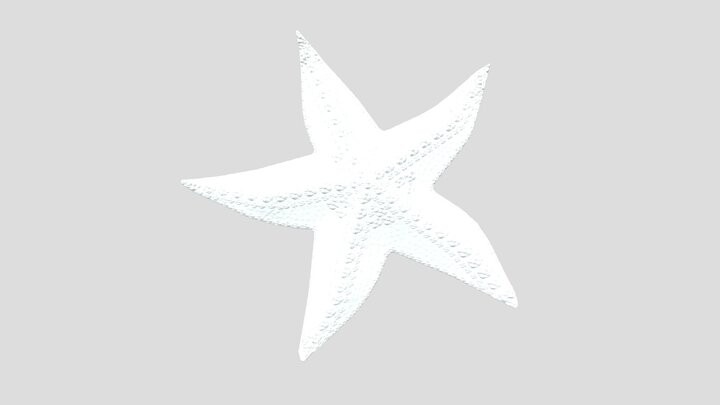 ArtStation - StarFish Sculpt Belt Buckle