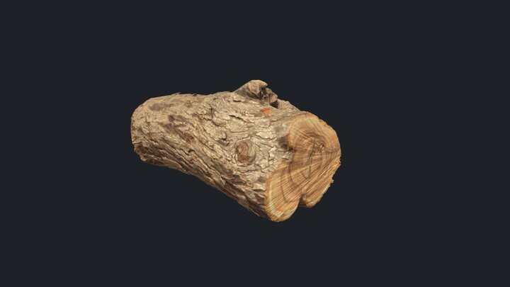 ArtStation - Wood Log