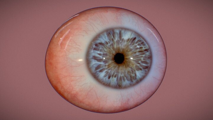 ArtStation - Human Eye