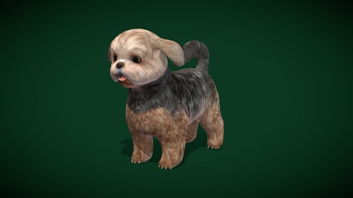 ArtStation - Shih Tzu Dog Breed 3D Model