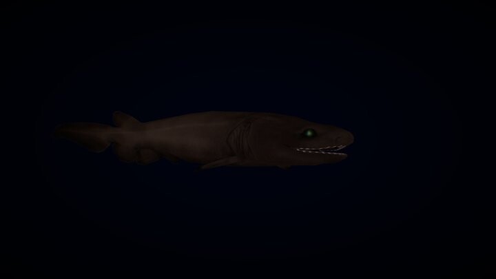 ArtStation - Southern African Frilled Shark Styilized