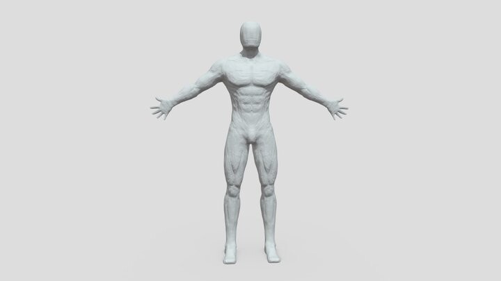 ArtStation - Modeling Anatomical Body