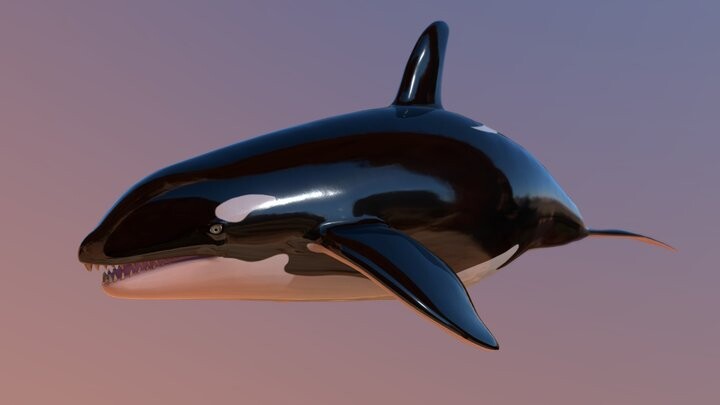 ArtStation - Orca 3D Render