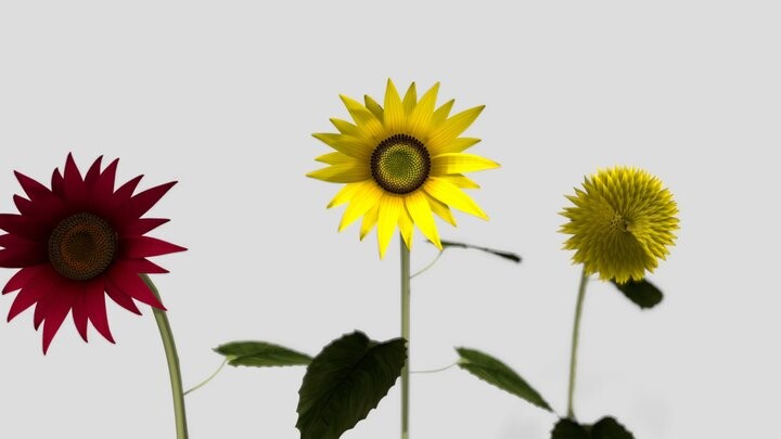 ArtStation - Sunflowers - interactive 3D models