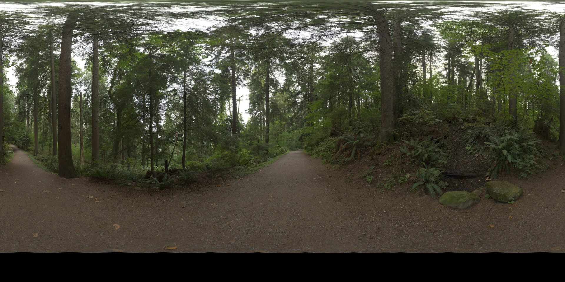 ArtStation - Forest Panosphere