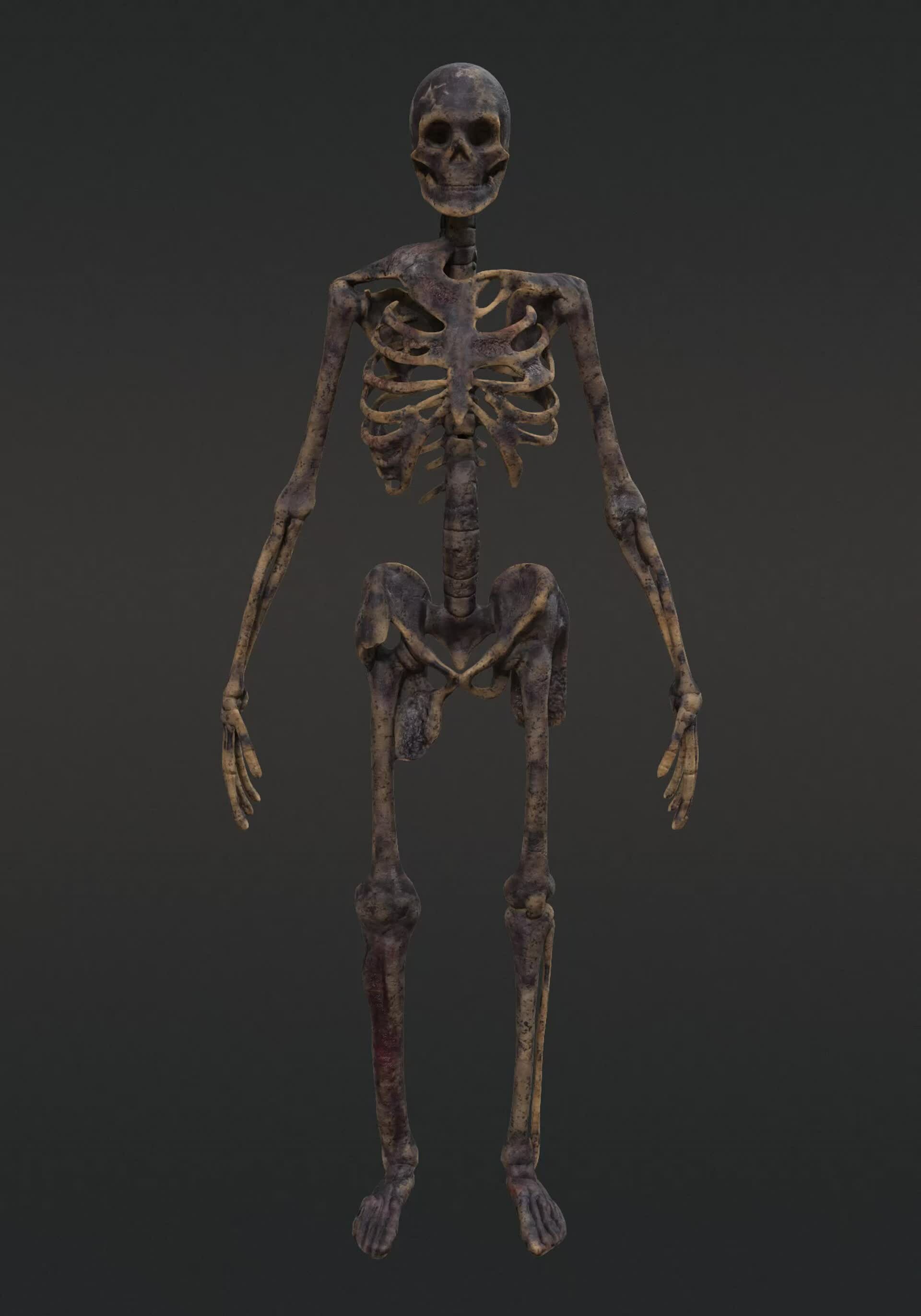 ArtStation - Burned Skeleton