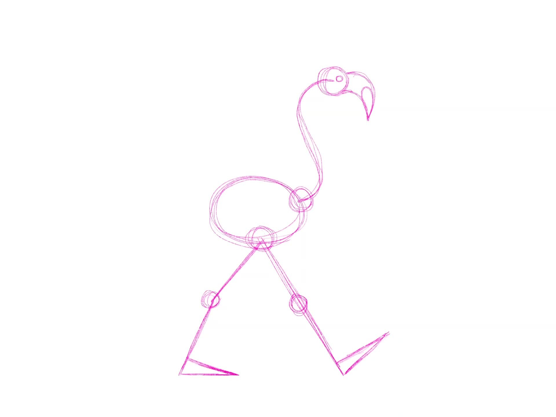 ArtStation - Flamingo Walk Cycle